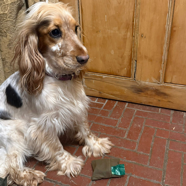 INSTRUCTIONS: Pocket Poo Bag Holder: DIGITAL DOWNLOAD – Natasha Makes